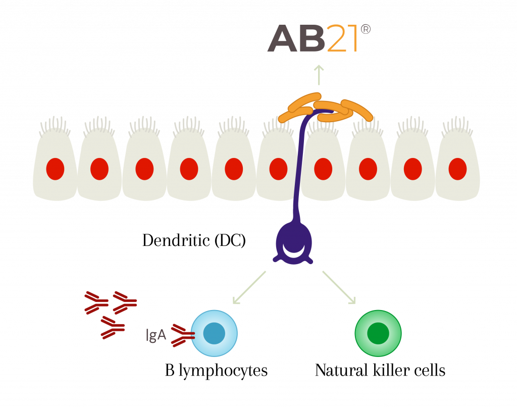 Mechanism of action | Ab-Biotics
